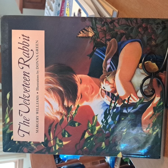Other | The Velveteen Rabbit Book Hard Back Bundle Only | Poshmark